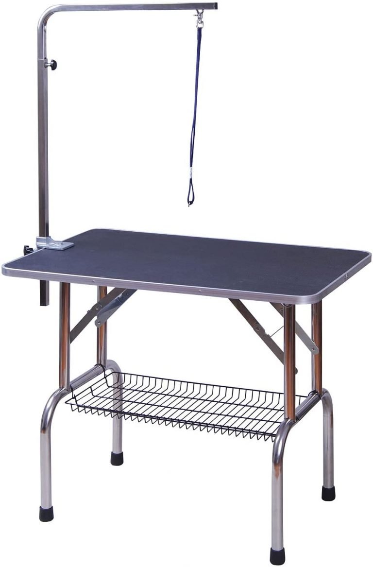 Les 3 meilleures tables de toilettage pour chien [2024]